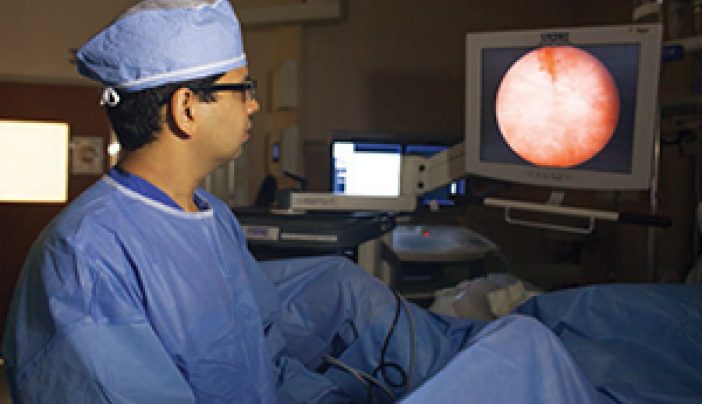 Highlighting hope for bladder cancer, cervical cancer and endometrial ...