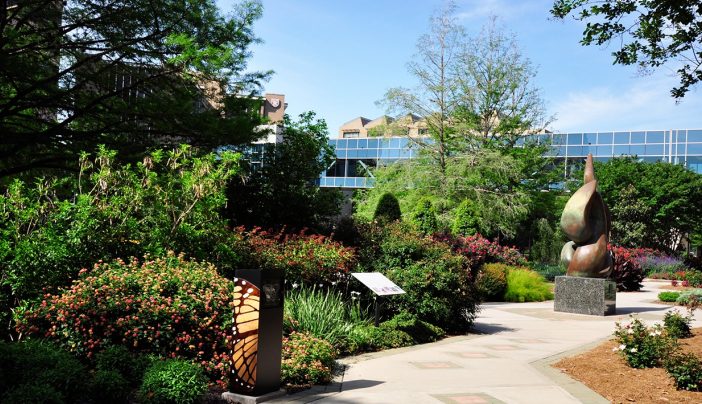 17 things that set MD Anderson apart | MD Anderson Cancer Center