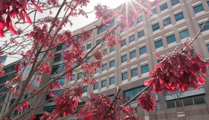 Why do cancer patients choose MD Anderson for treatment? 11 reasons ...