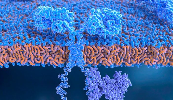 Can CAR T cell therapy side effects be prevented in lymphoma patients ...