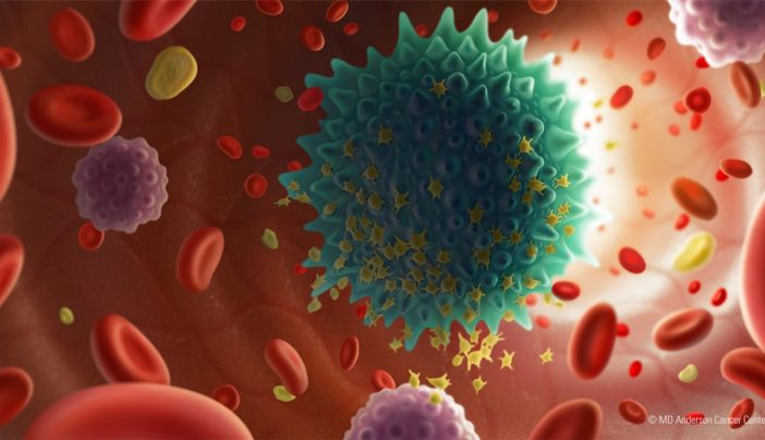 What are liquid biopsies? Understanding ctDNA and circulating tumor cells | MD Anderson Cancer ...