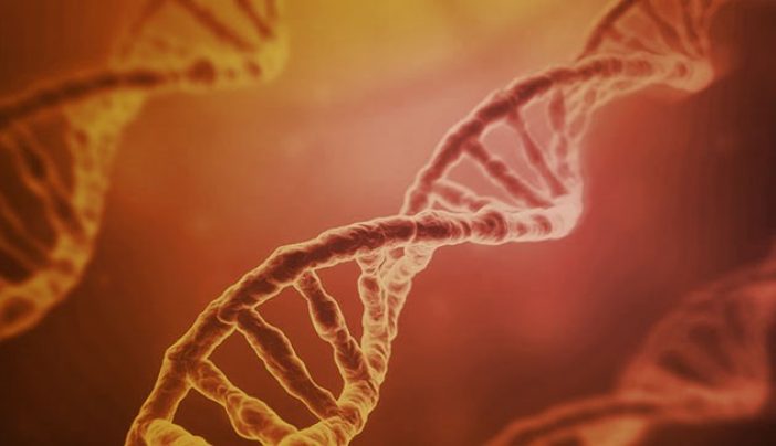 New von Hippel-Lindau disease (VHL) drug shrinks patients’ tumors | MD ...