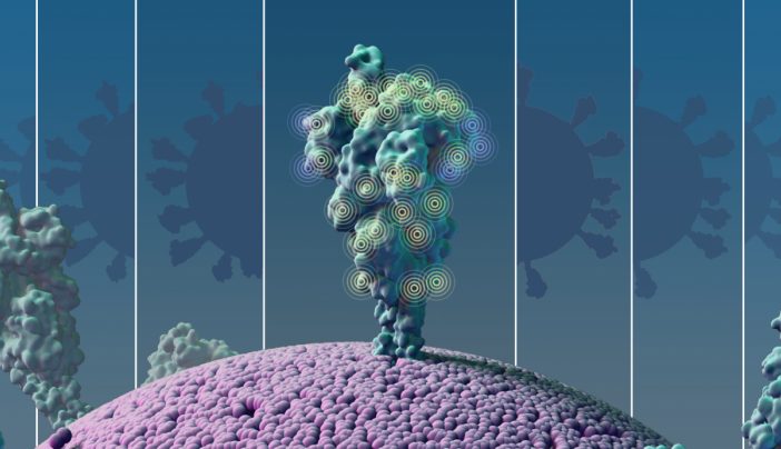 COVID-19’s omicron variant: What we know now | MD Anderson Cancer Center