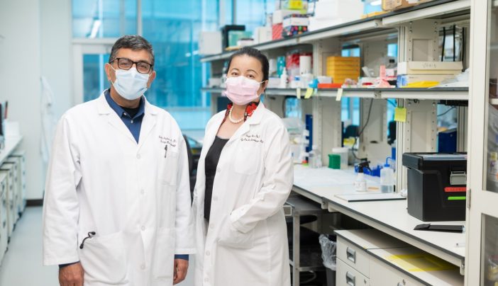 Researchers Explore New Possibilities For Ovarian Cancer Treatment Md
