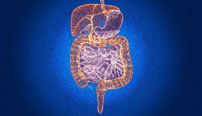 Ampulla Of Vater Cancer