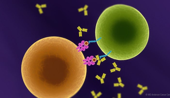 LAG-3 Inhibitors: Insights on the third-generation immune checkpoint ...