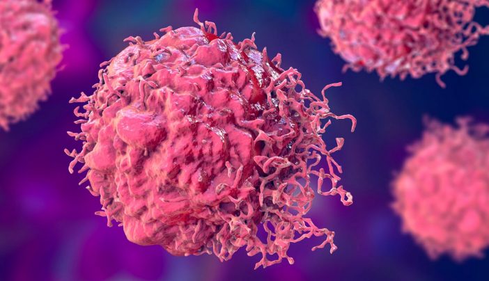 What are Bruton’s tyrosine kinase (BTK) inhibitors? | MD Anderson ...