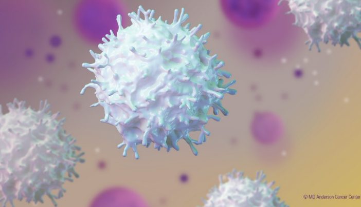 What’s new in CAR T cell therapy? Solid tumor advances | MD Anderson ...