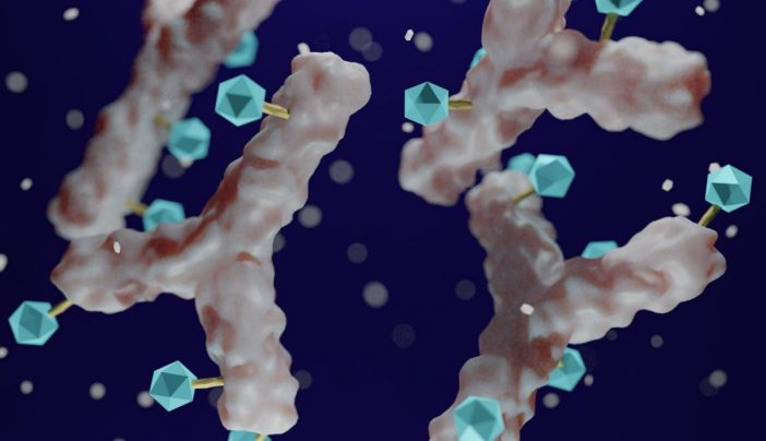 Antibody drug conjugates: A shift in treatment options for solid tumors ...