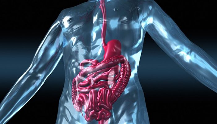 Endoscopic ultrasound (EUS): How it works, why it’s used and what to ...