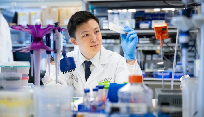 Researcher studies tumor cell interaction to improve immunotherapy | UT ...