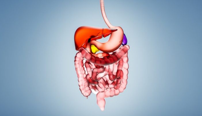 Gastrointestinal stromal tumors (GISTs): What are they, and how are ...