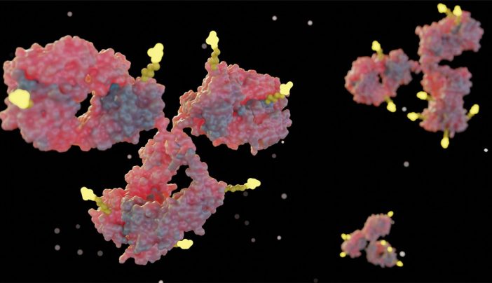 Radiation therapy, the immune system and what’s ahead | MD Anderson ...