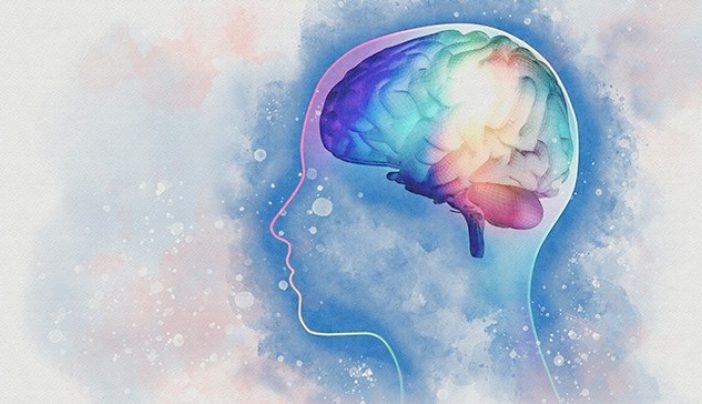 Craniotomy vs. craniectomy: What’s the difference? | UT MD Anderson