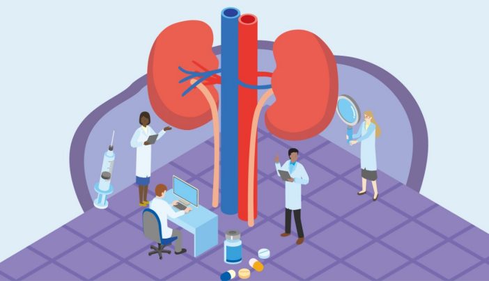 Kidney cancer specialists: 3 things to know about renal cell carcinoma ...