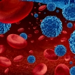 What is Chronic Lymphocytic Leukemia (CLL)? Symptoms, Risk Factors ...