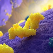 What is Targeted Therapy? Know Before Treatment | MD Anderson Cancer Center