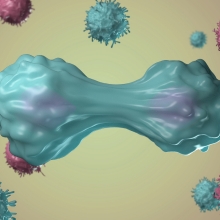 What are Immune Checkpoint Inhibitors? Know Before Treatment | MD ...