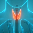 Thyroid Cancer - Types, Symptoms, Treatment, Staging & Diagnosis | MD ...