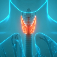 Thyroid Cancer - Types, Symptoms, Treatment, Staging & Diagnosis | MD ...