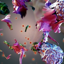 Immune Checkpoint Inhibitor Side Effects | MD Anderson Cancer Center