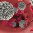 Leukemia: Definition, Types & Risk Factors | MD Anderson Cancer Center