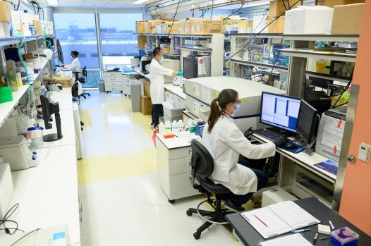 MD Anderson's Strategic Plan | MD Anderson Cancer Center