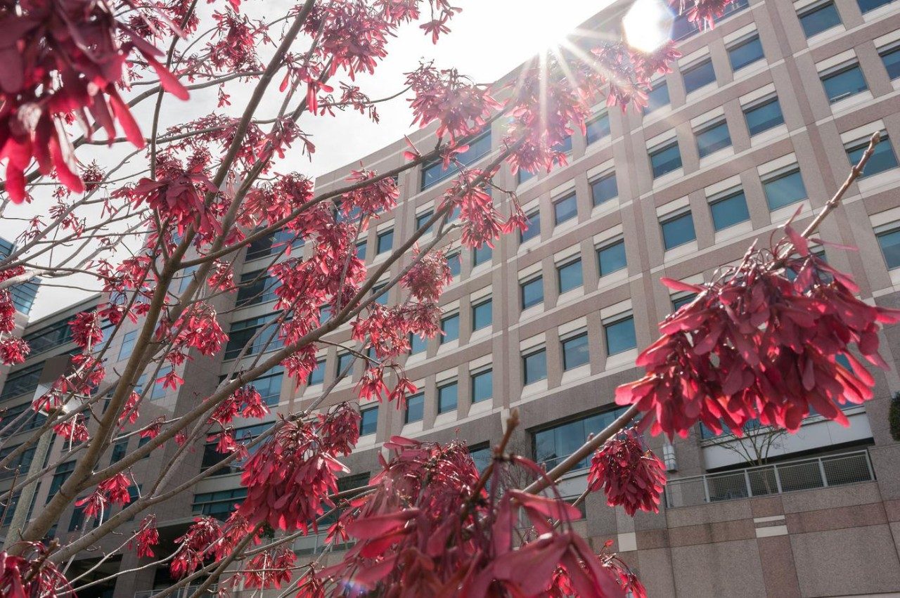 Appointments | MD Anderson Cancer Center