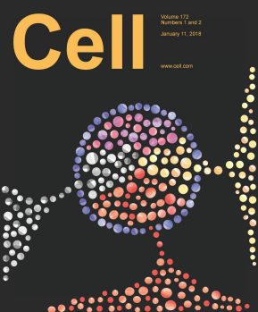 Researcher uses art to share science with a broad audience | MD ...