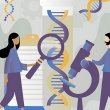 BRCA Genes | MD Anderson Cancer Center