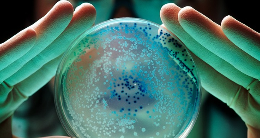 Cancerwise Blog | MD Anderson Cancer Center