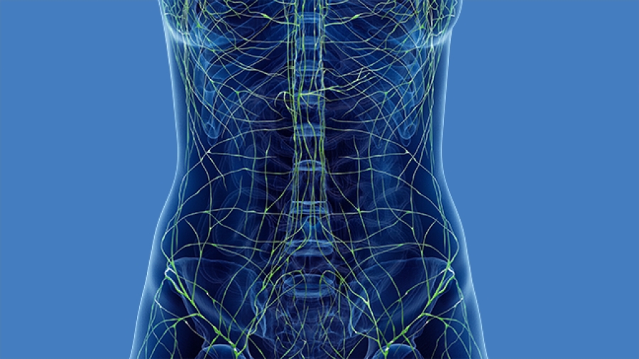Lymphoma: Symptoms, Types & Risk Factors | UT MD Anderson
