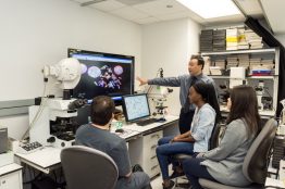 Cytogenetic Technology | MD Anderson Cancer Center