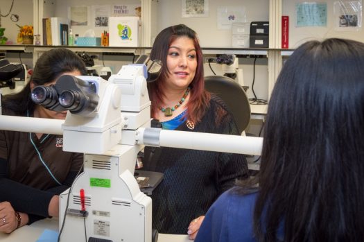 Cytotechnology | MD Anderson Cancer Center