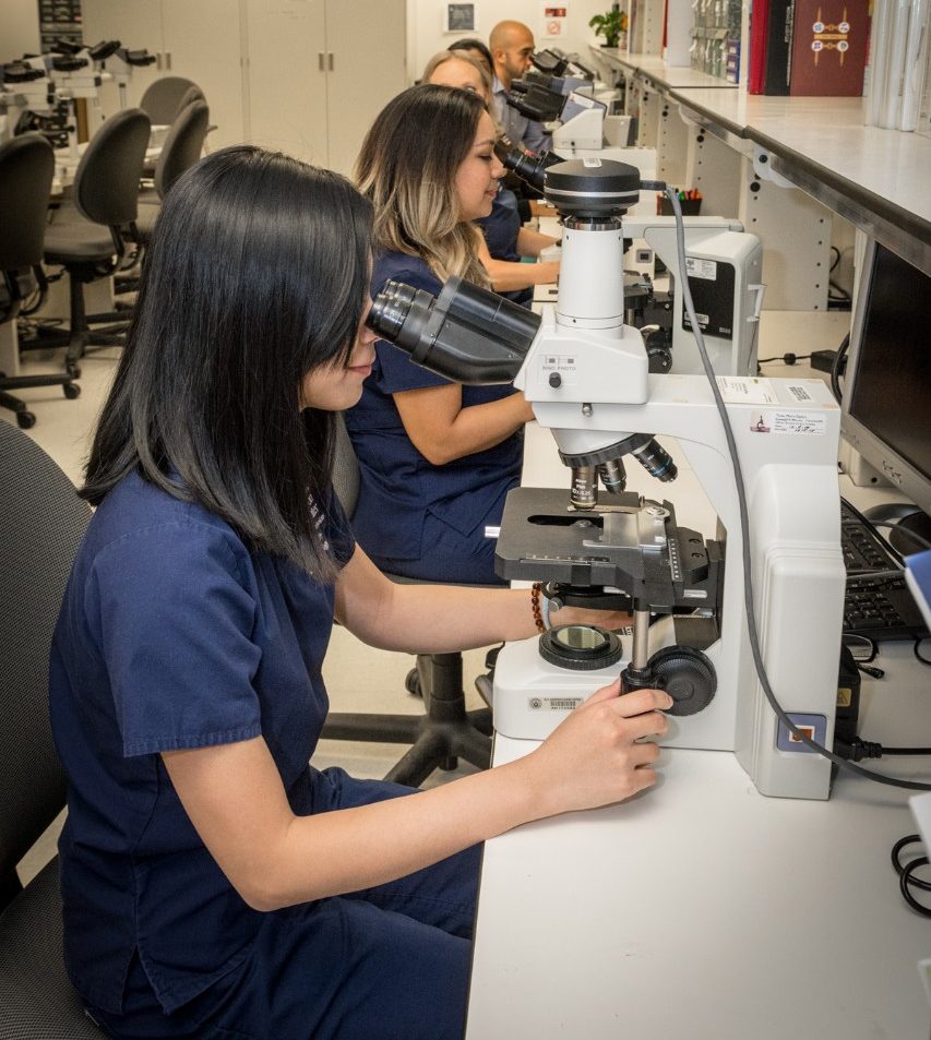 Cytotechnology | MD Anderson Cancer Center