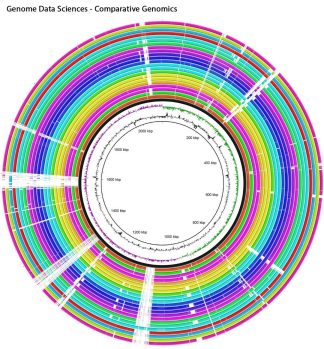 M.S. in Diagnostic Genetics and Genomics | MD Anderson Cancer Center