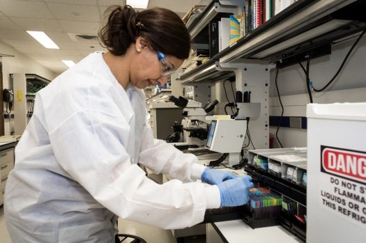 Histotechnology | MD Anderson Cancer Center