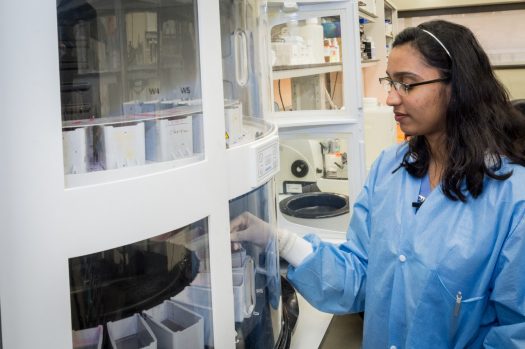 Histotechnology | MD Anderson Cancer Center