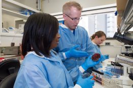 Medical Laboratory Science | MD Anderson Cancer Center