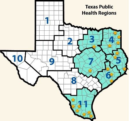 Project ECHO - Program for Reducing Cervical Cancer in Texas | MD ...