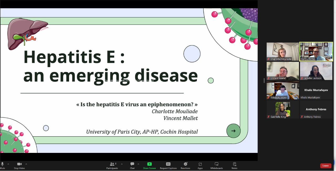 Viral Hepatitis ECHO | MD Anderson Cancer Center
