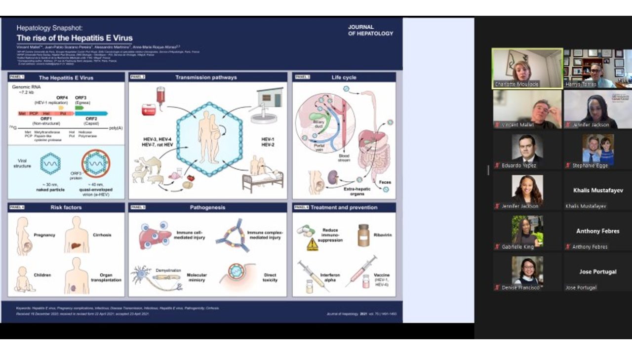 Viral Hepatitis ECHO | MD Anderson Cancer Center