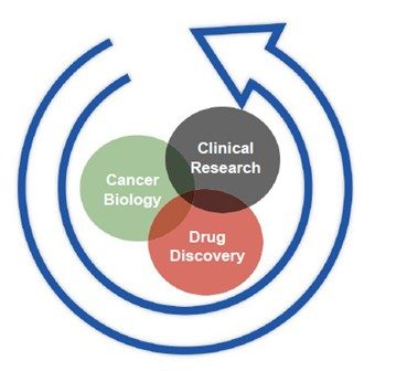 Therapeutics Discovery Division Summer Program | MD Anderson Cancer Center