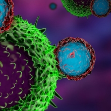 MD Anderson Newsroom | MD Anderson Cancer Center