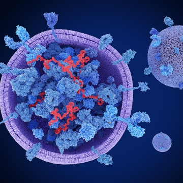 Translational Cancer Research | MD Anderson Cancer Center