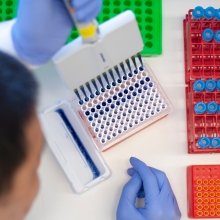 MD Anderson Newsroom | MD Anderson Cancer Center