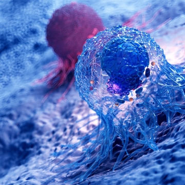 MD Anderson Newsroom | MD Anderson Cancer Center