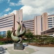 MD Anderson Newsroom | MD Anderson Cancer Center