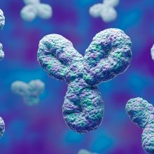 MD Anderson Newsroom | MD Anderson Cancer Center