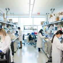 MD Anderson Newsroom | MD Anderson Cancer Center